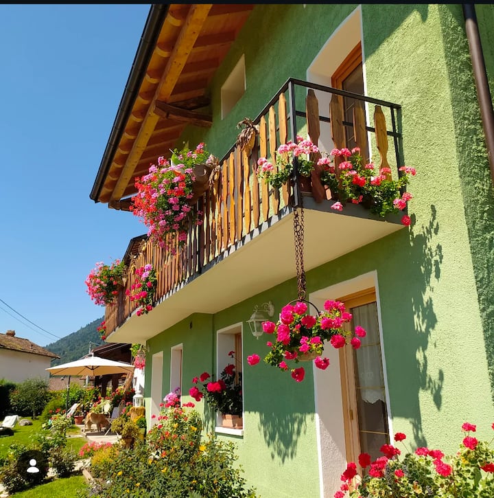 Bed And Breakfast Edelweiss Feltre - Feltre