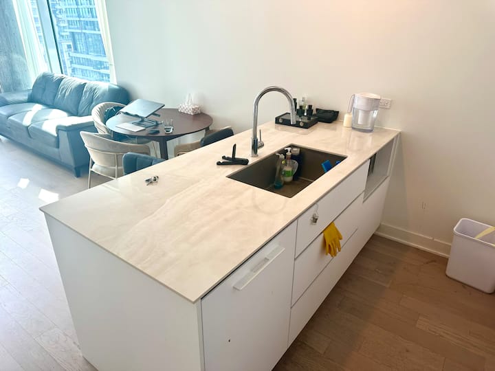 Downtown Montreal For Rent – Large 1-bedroom - Montréal, QC
