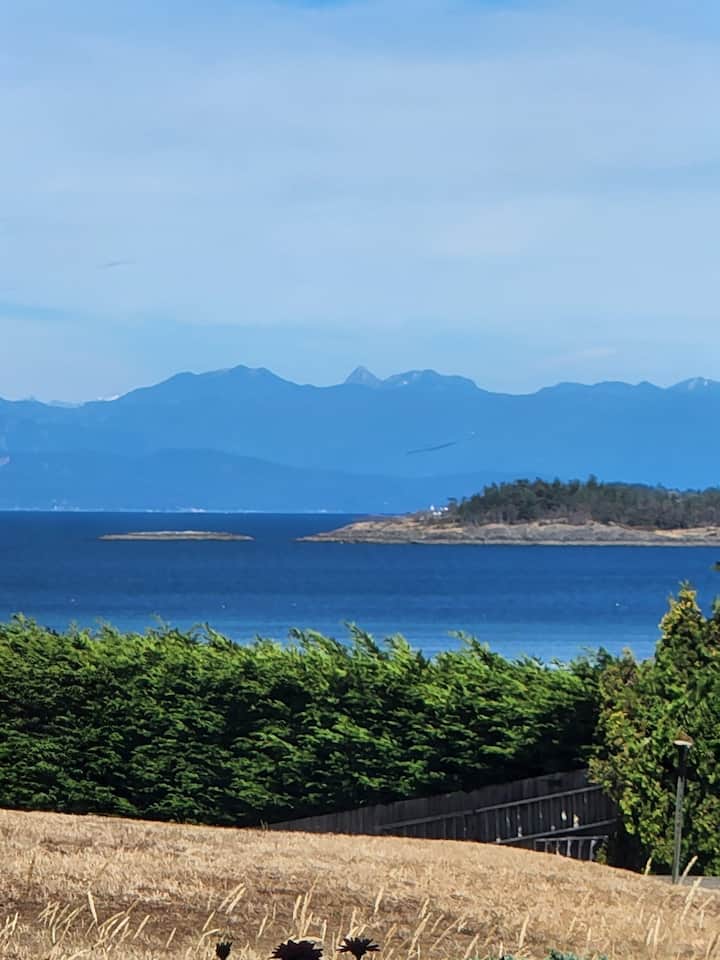 Craig Bay Ocean View Home - Parksville