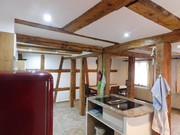 Ferienhaus Zwischen Schloß Und See - Radolfzell am Bodensee