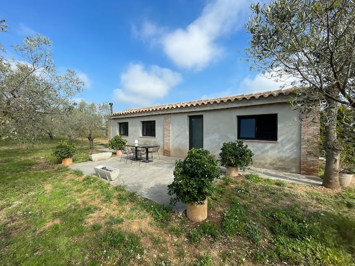 La Cebera Del Delta De L'ebre - L'Ampolla