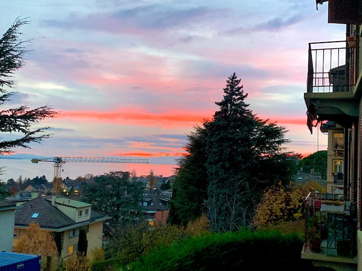 Sous-location à Pully 2 Chambres Libre De Suite - Canton de Vaud