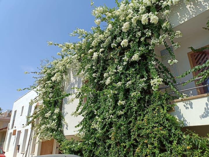 Sempreverde: Vivere I Materiali Naturali - Marina di Ragusa