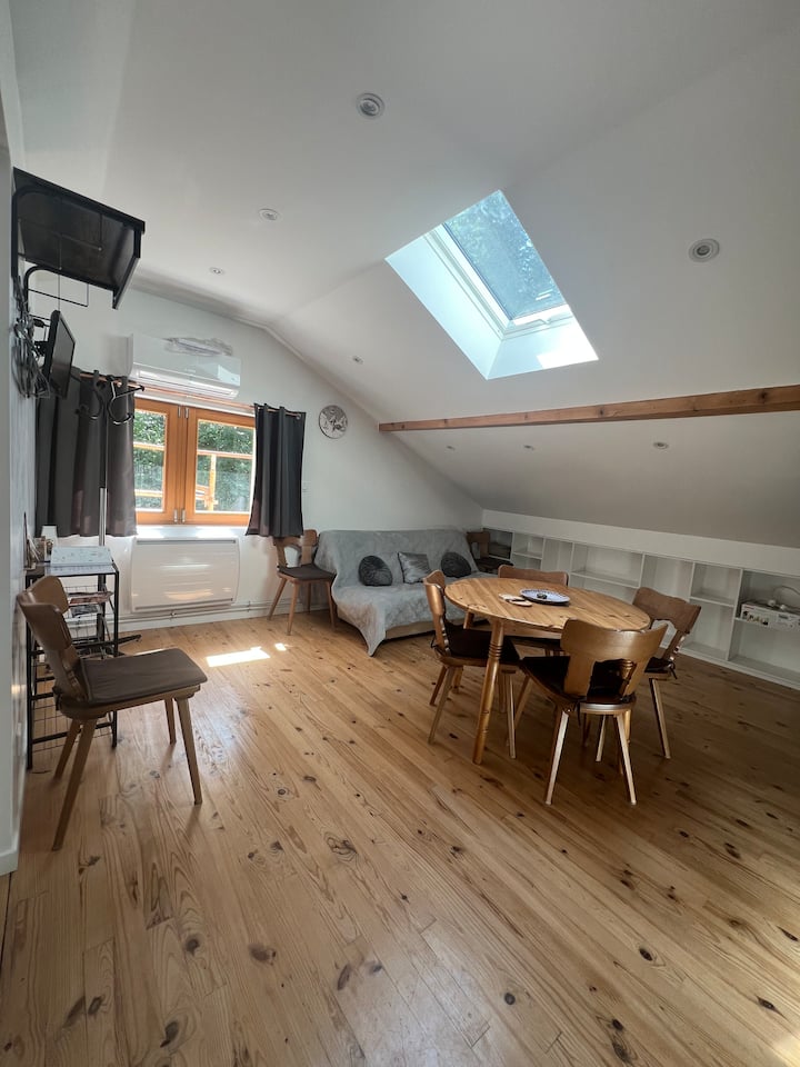 T2 G - Charmant Et Chaleureux à La Montagne - Saint-Genis-Pouilly