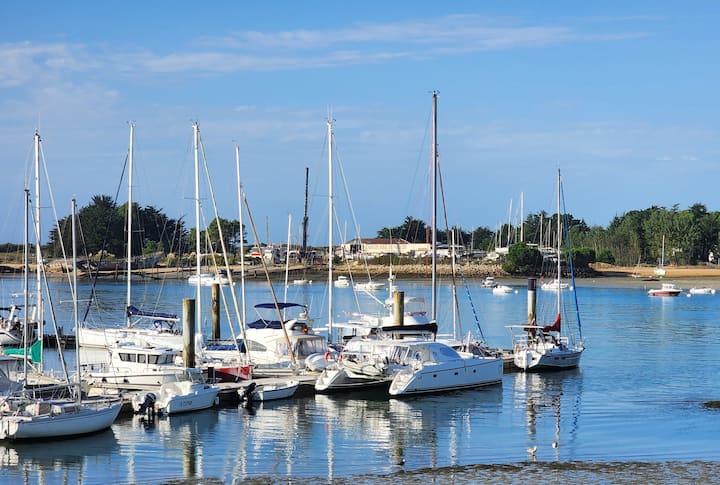 Catamaran De 12m, 4 Cabines - Étel