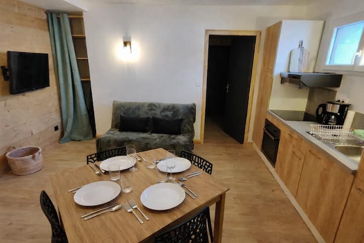 L'instant Montagne - 15 Min Des Pistes De Ski - Puyvalador