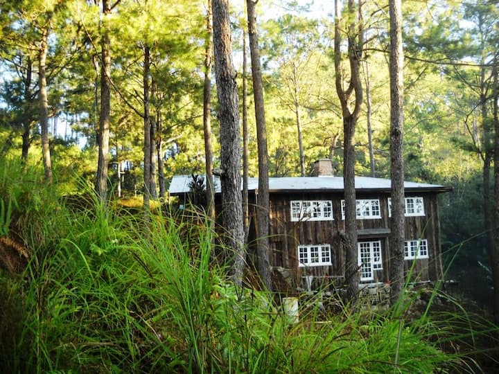 Sagada Forest Lodge (Entire Lodge Rental) - Sagada
