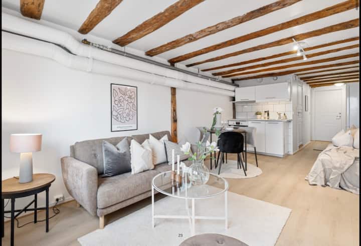 Canal View ! Central, 200 M From Train Station ! - Trondheim