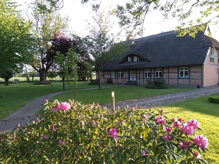 Luxus-ferienwohnung Unter Reet Mit Schwimmteich - Grimmen