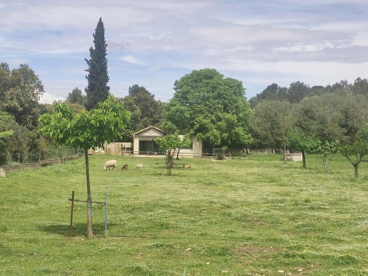 Mazet De "Rachalan" Entièrement Rénové - Nîmes