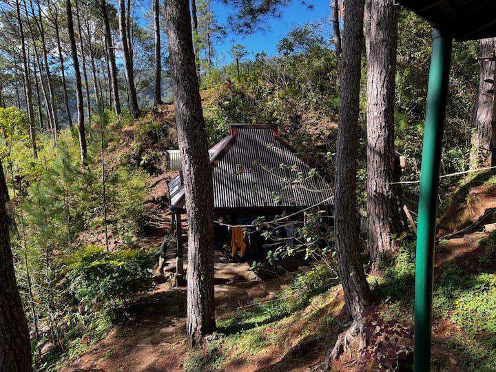 Sagada Forest Lodge - Native House - Sagada