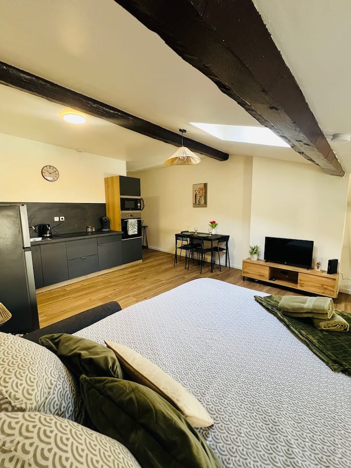 Charmant Studio Cosy Au Cœur De Bourg-de-péage - Romans-sur-Isère