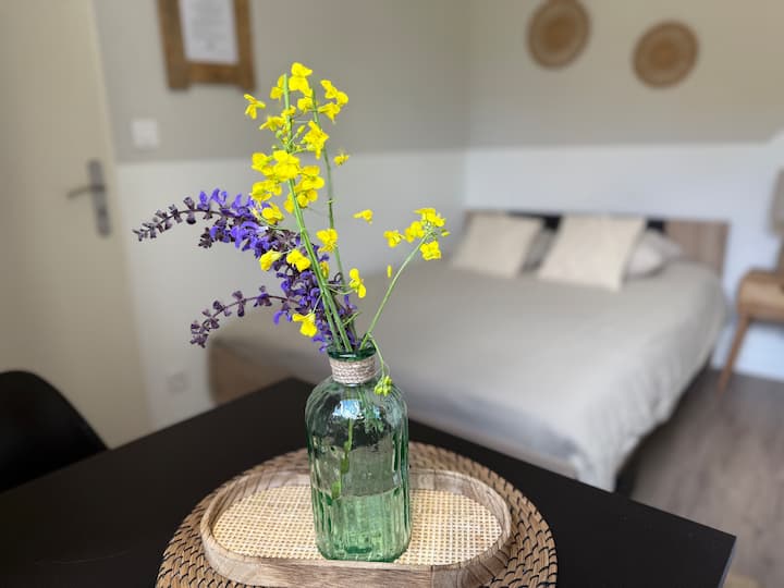 Studio Cosy Clim Parking Privée - Pérouges