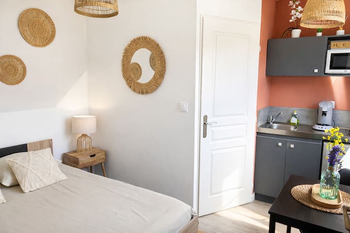 Studio Cosy Clim Parking Privée - Meximieux