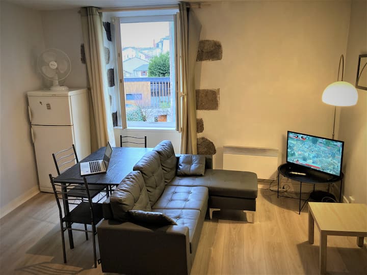 Studio Dans L'hypercentre De Limoges - Limoges