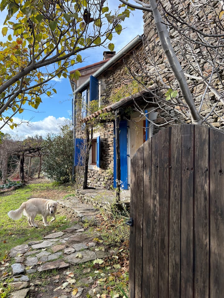 Vue Exceptionnelle Au Cœur Des Cévennes - Villefort