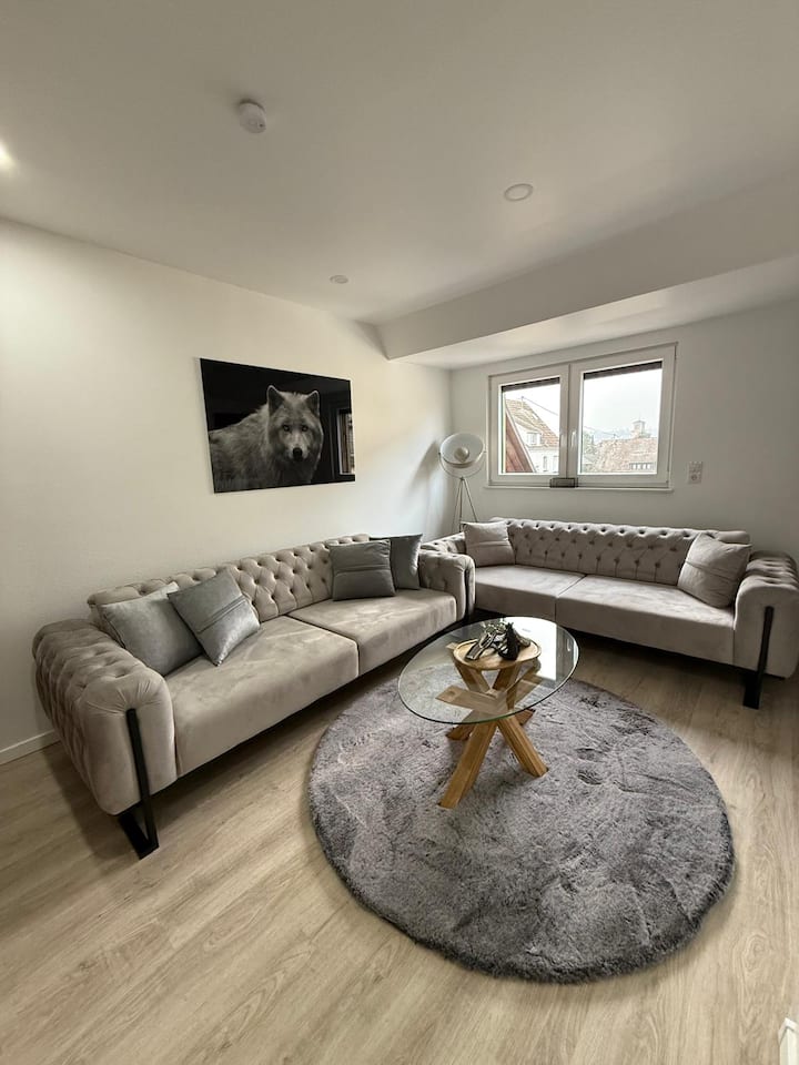 Wiedwolf Apartments - Neuwied