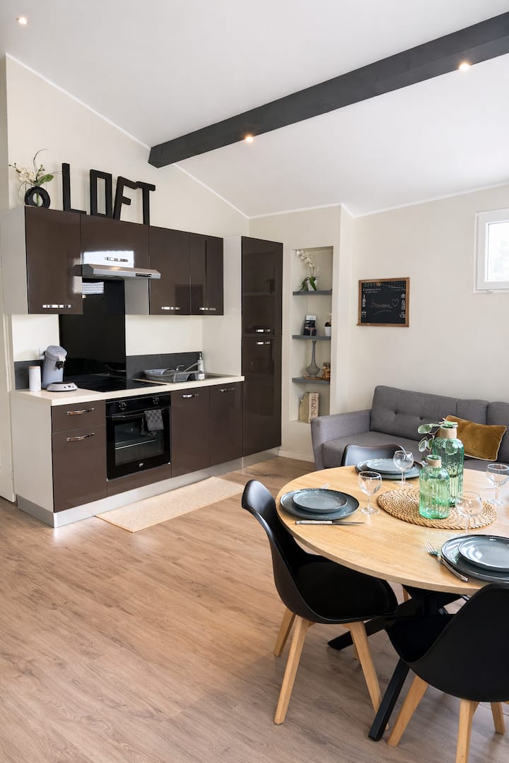 Loft Cosy Clim Parking Et Cour Privée - Meximieux