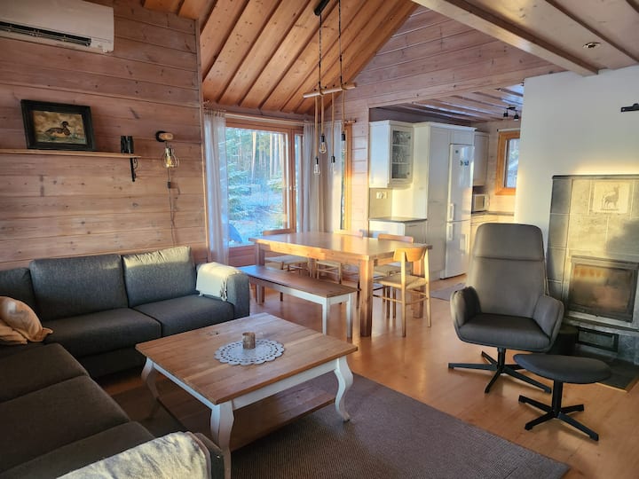 Tilava Ja Hyvin Varusteltu Villa Alli. - Siikainen