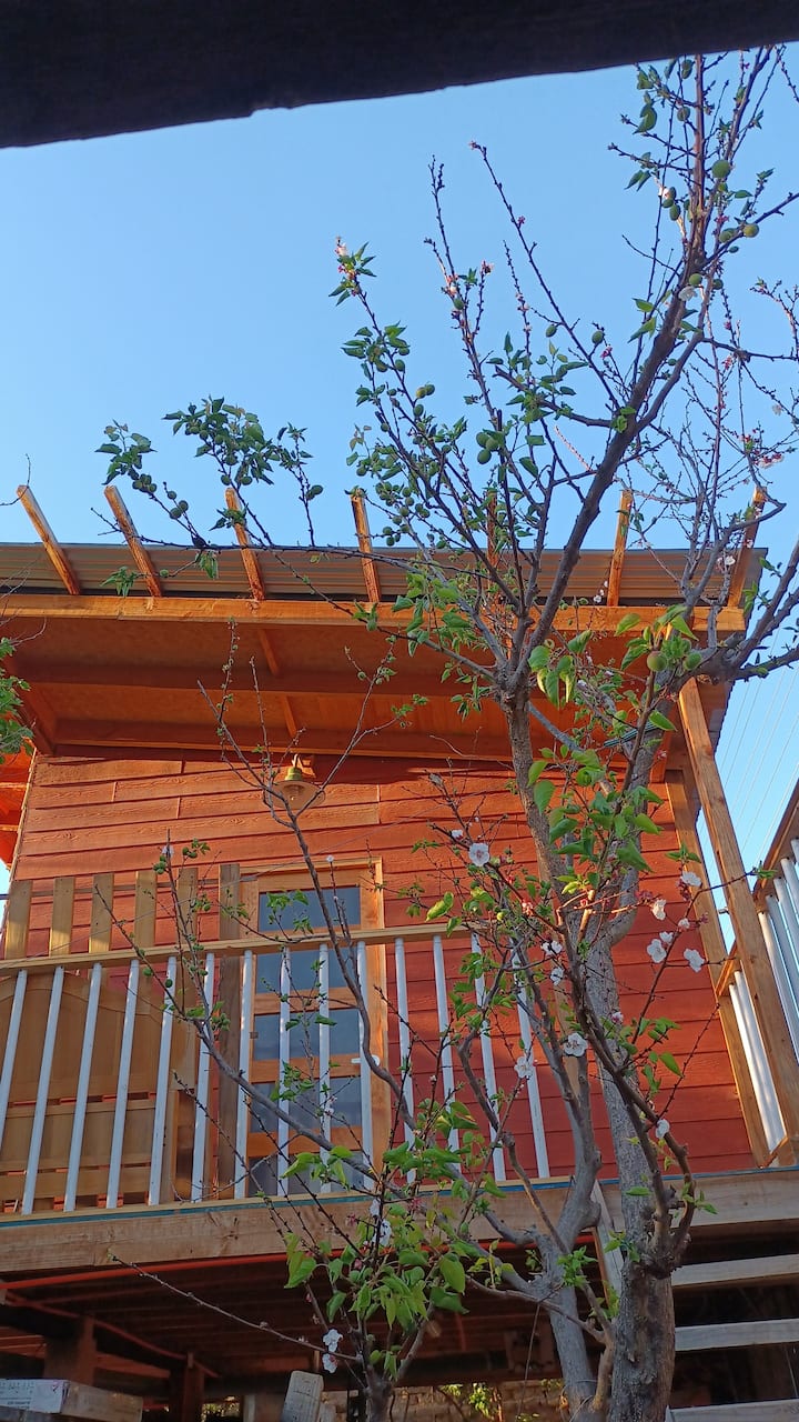Tree House In The Elqui Valley - Vicuña
