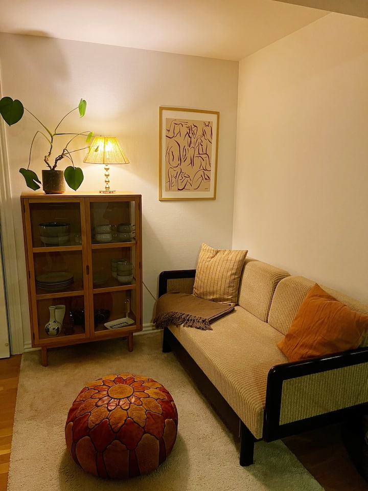 Central Og Hyggelig Lejlighed På Frederiksbjerg - Aarhus