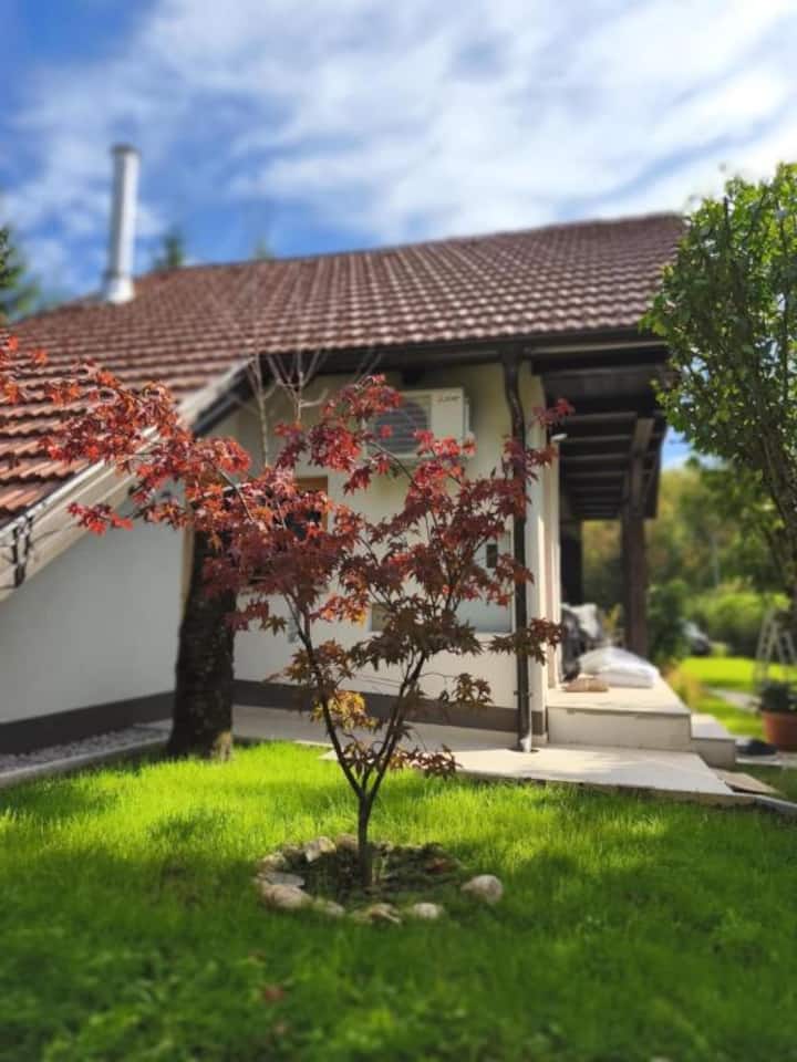 Holiday Cabin Near Ljubljana - Hawknest - Slovenia