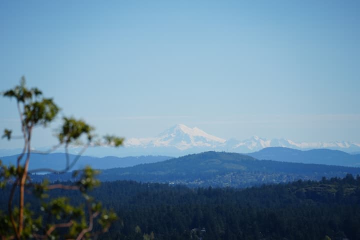 2br 1ba Mt Baker Views Suite King Bed Private Deck - Langford