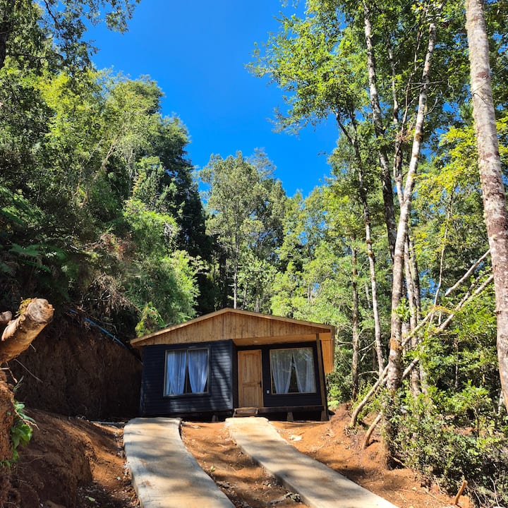 Cabaña En El Bosque - Valdivia