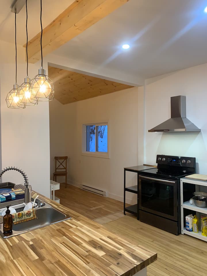 Chambres Dans Une Maison Ancestrale Rénovée - Sherbrooke