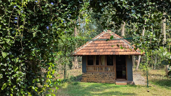Farmstay In Kottayam - Kanjirappally
