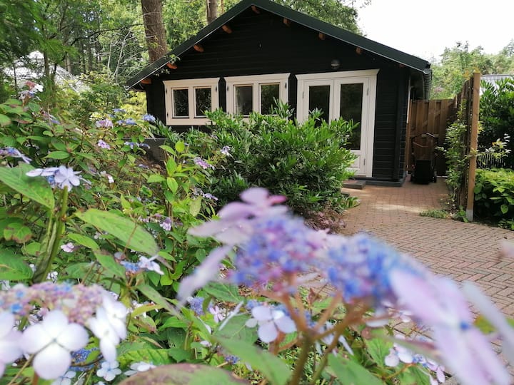 Chalet De Eexter Os - Drente