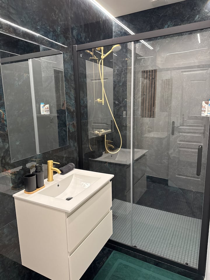 Appartement Magnifique Centre-ville Saint Etienne - Saint-Étienne