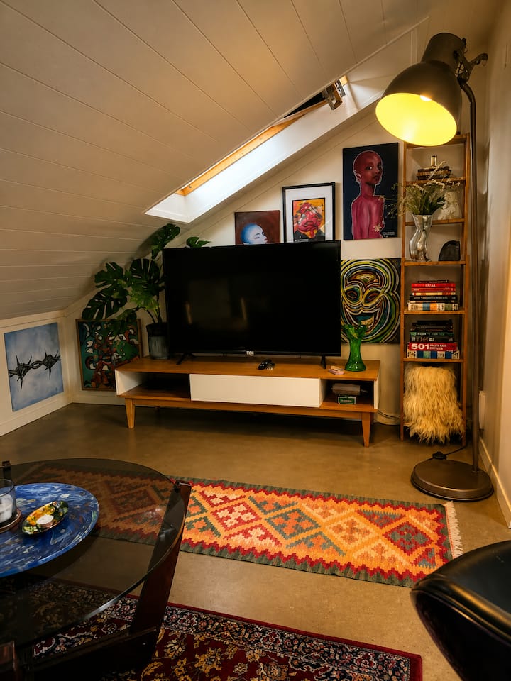 Cozy Downtown ReykjavÃk Flat - Reykjavik