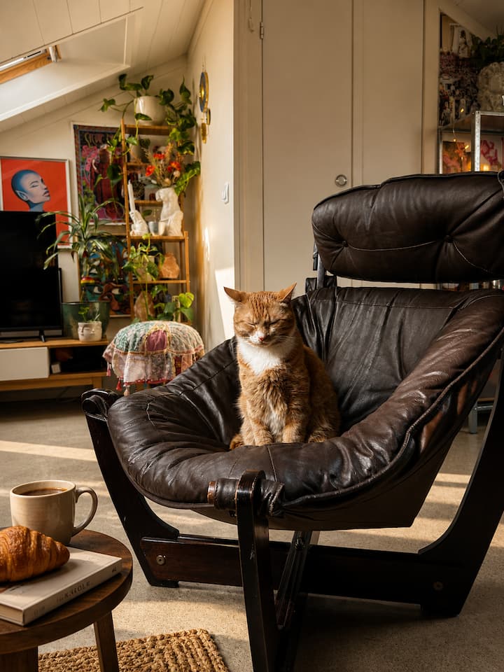 Cozy Downtown Reykjavík Flat - Reykjavik