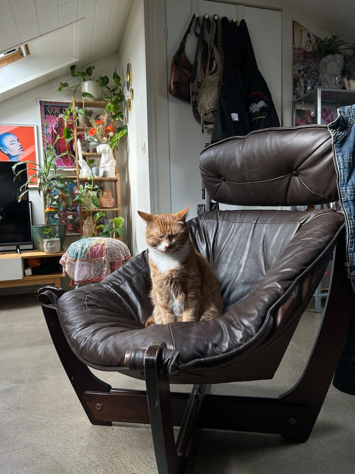 Cozy Downtown Reykjavík Flat - Reikiavik