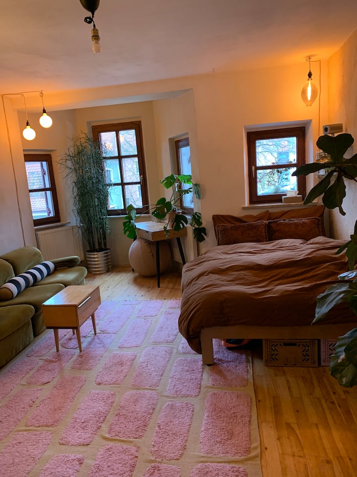 Gemütliches Großes Helles Zimmer - Regensburg