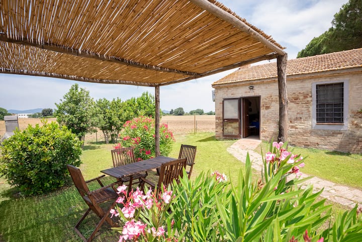 Country Cottage Just 5 Minutes From The Sea - Marina di Grosseto