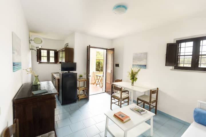 Rosmarino - Marina di Grosseto