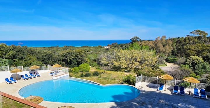 L'etoile Corse - T2 Avec Piscine, Plage à 600m - Belgodère