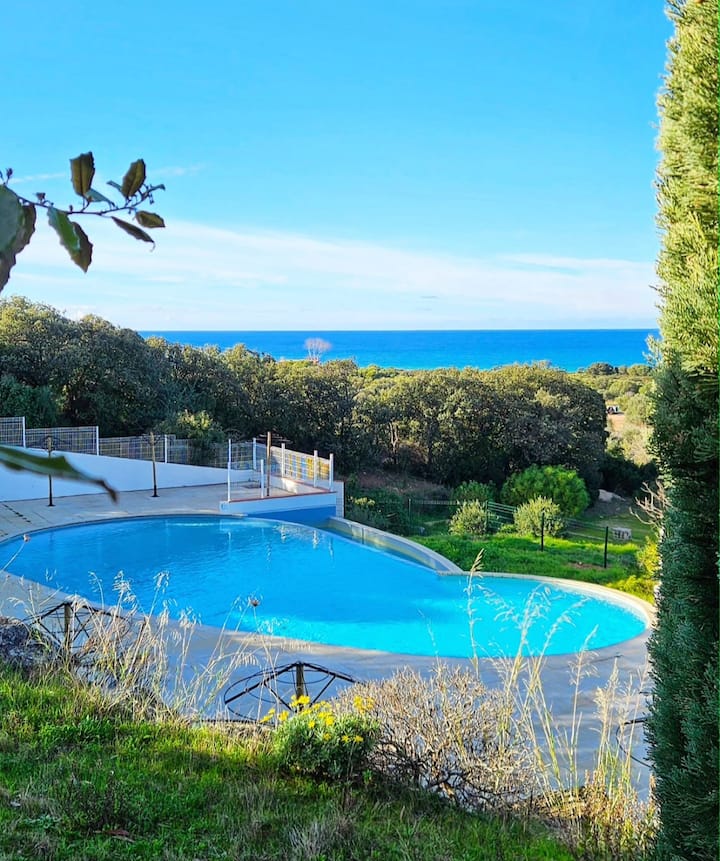 L'etoile Corse - T2 Avec Piscine, Plage à 600m - Belgodère
