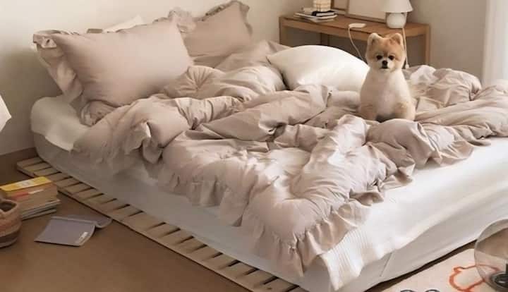 Tent 6 Guests 3 Beds - El Paso, TX