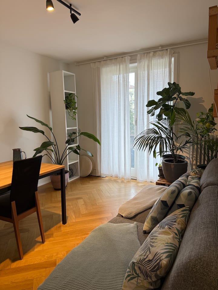 Cozy Altbau Flat In Trendy Lochergut |2br| Balcony - Zurich