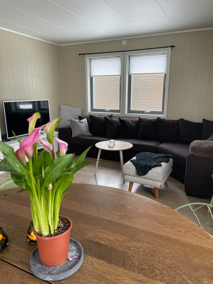 Hjemmekoselig Og Moderne Leilighet I Rolig Strøk - Oslo Airport (OSL)