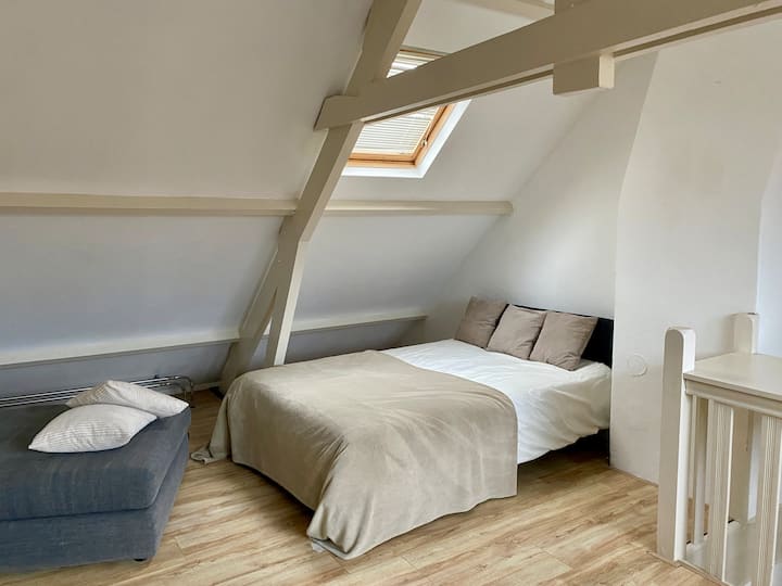 Mooi Appartement Eindhoven - Eindhoven