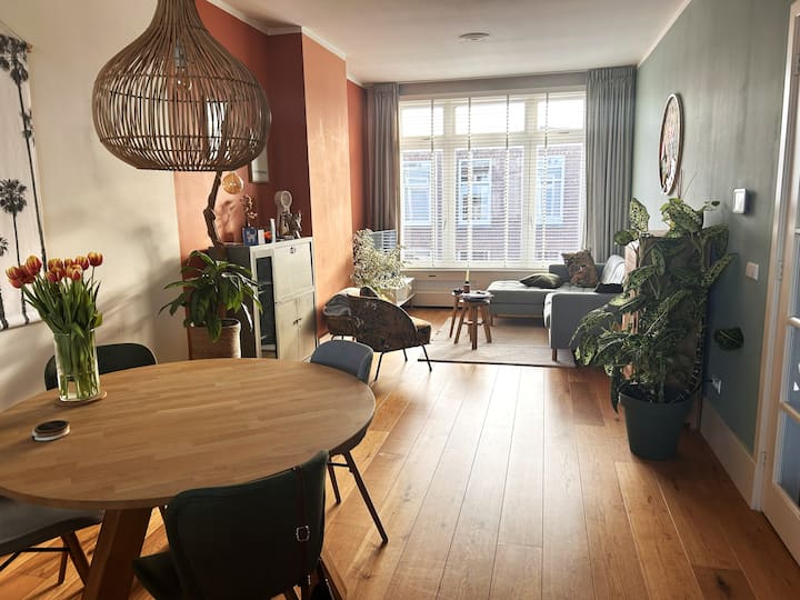 Comfortabel Appartement In Het Valkenboskwartier - The Hague