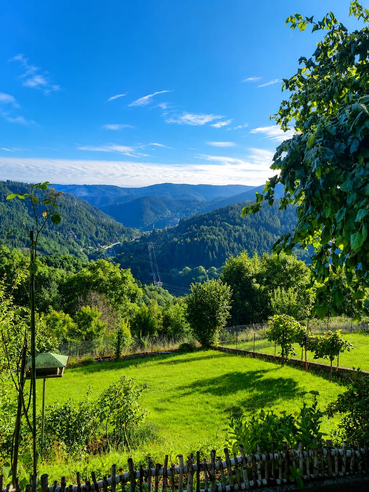 Panoramablick Im Murgtal Ruhige Auszeit - Gernsbach
