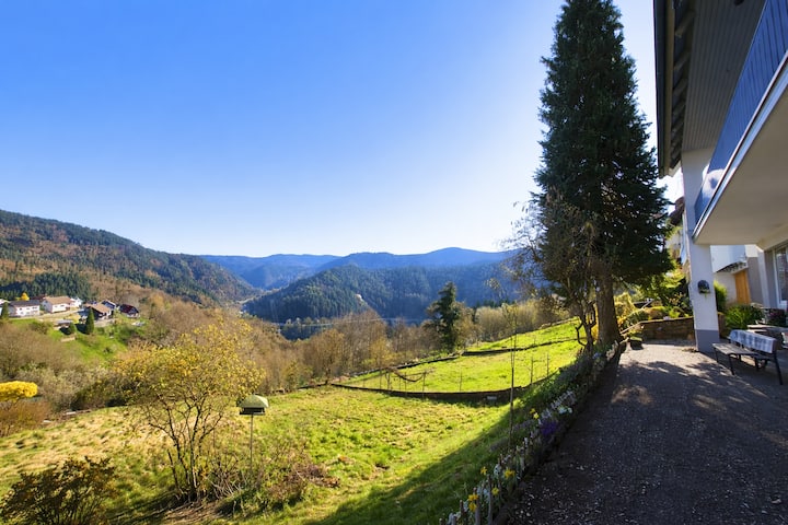 Panoramablick Im Murgtal – Ruhige Ferienwohnung - Forbach