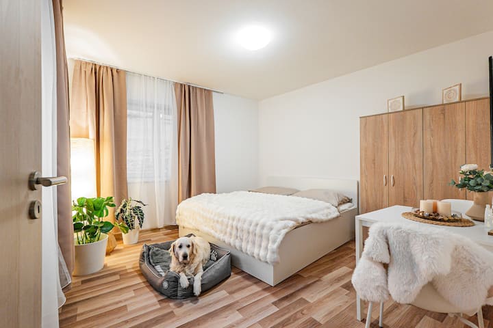 Carlsbad Residence · Double Room | No. 102 - Karlovy Vary