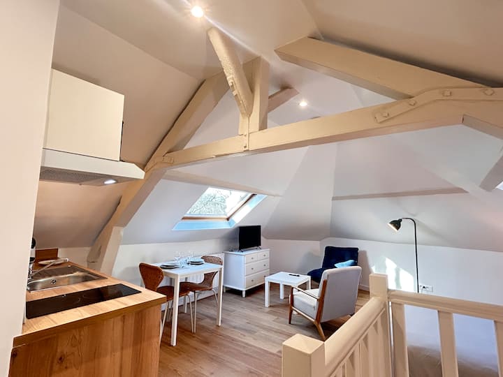 ÉLégant Studio Mansardé Au Charme Authentique - Isneauville