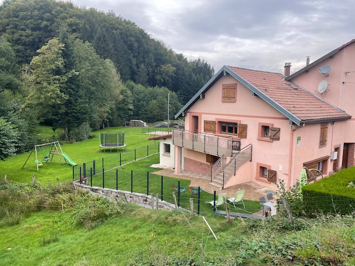 Gite Neuf De L'ancien Moulin  Proche Gérardmer  . - Corcieux